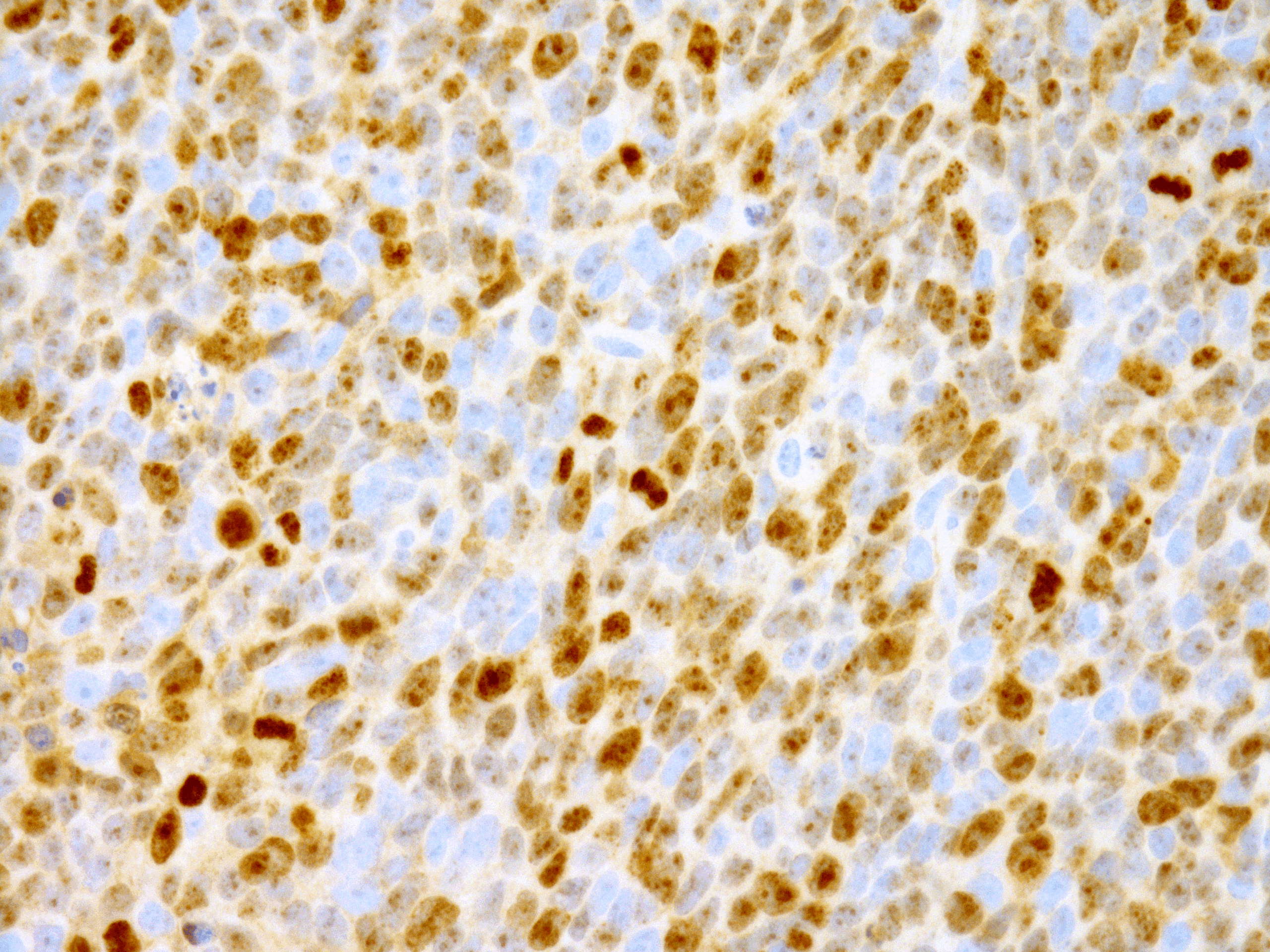 R2 Genomics Analysis and Visualization Platform