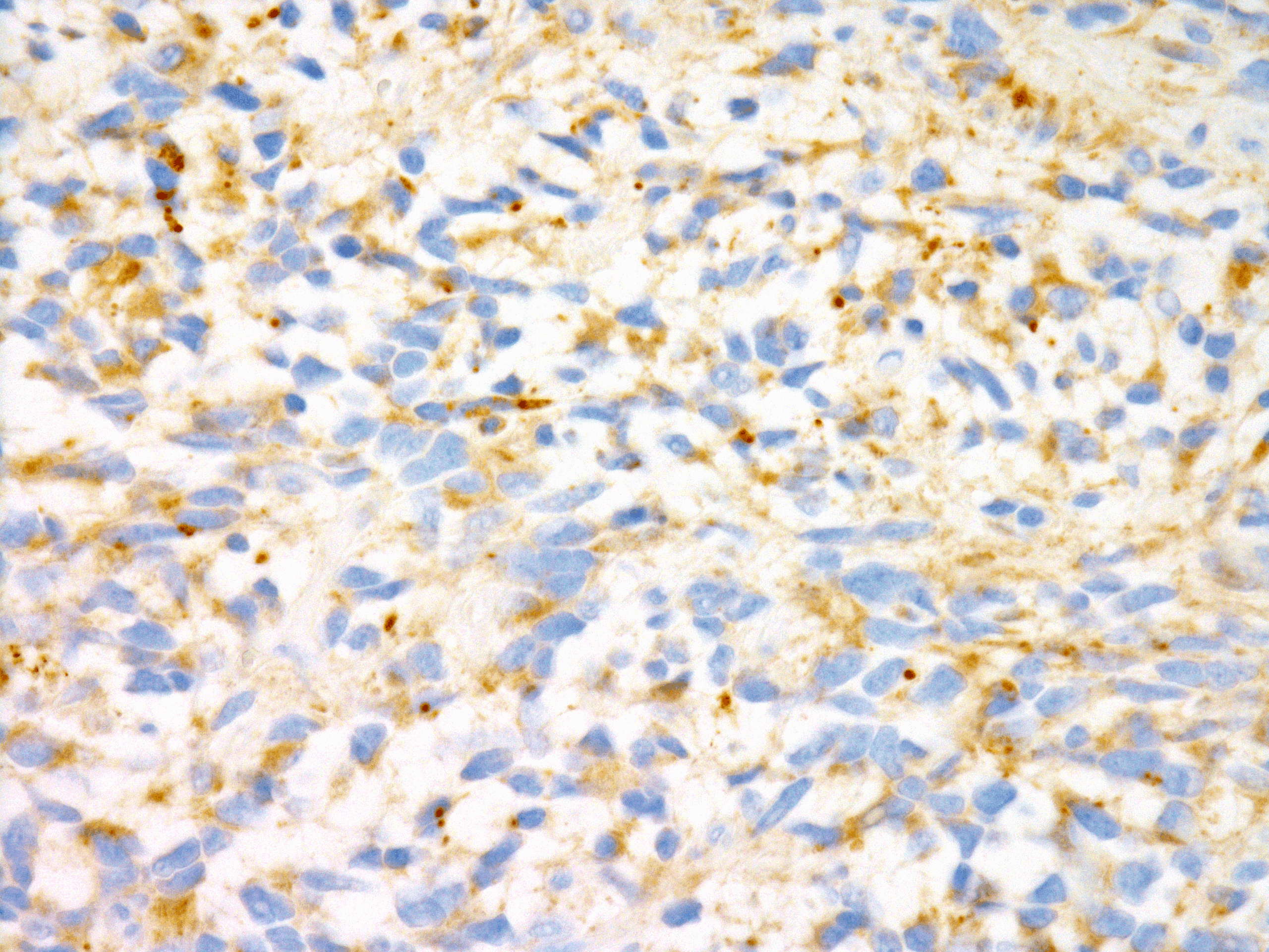 R2 Genomics Analysis and Visualization Platform