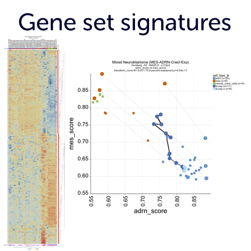 R2: Genomics Analysis and Visualization Platform