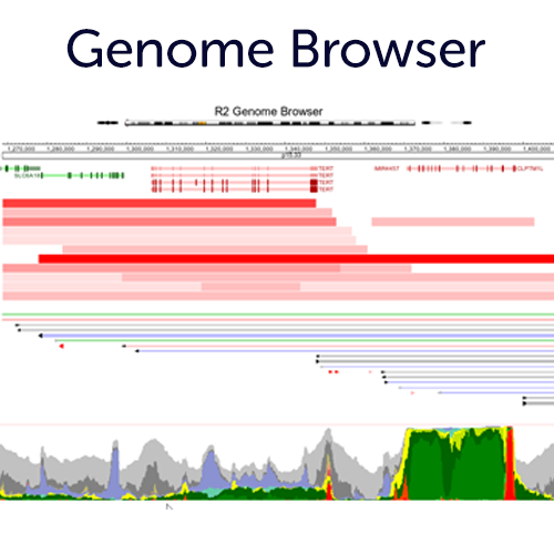 R2: Genomics Analysis and Visualization Platform