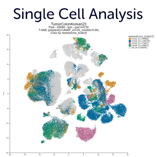R2: Genomics Analysis and Visualization Platform
